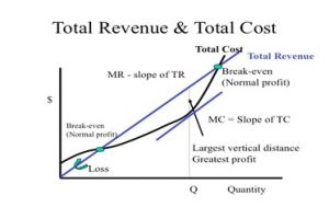 Price, Marginal Cost, Marginal Revenue, Economic Profit, and the ...